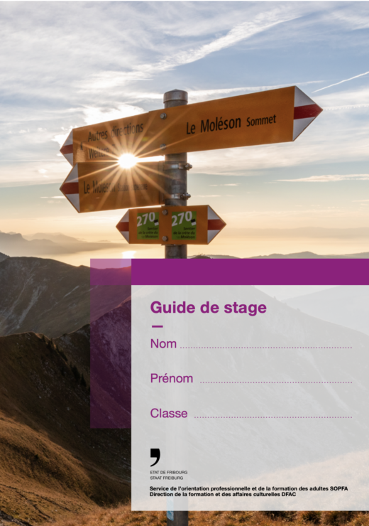 Orientation professionnelle